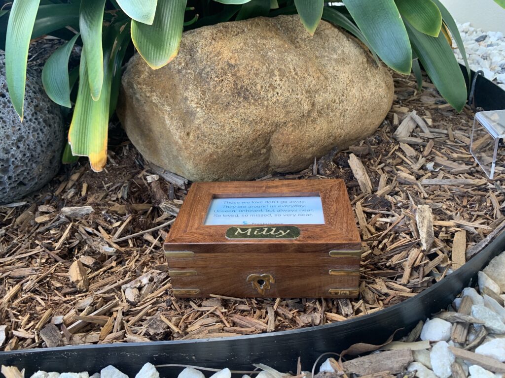 Photo Memorial Box and Photo Frame Water Cremation Brisbane | Paws to ...