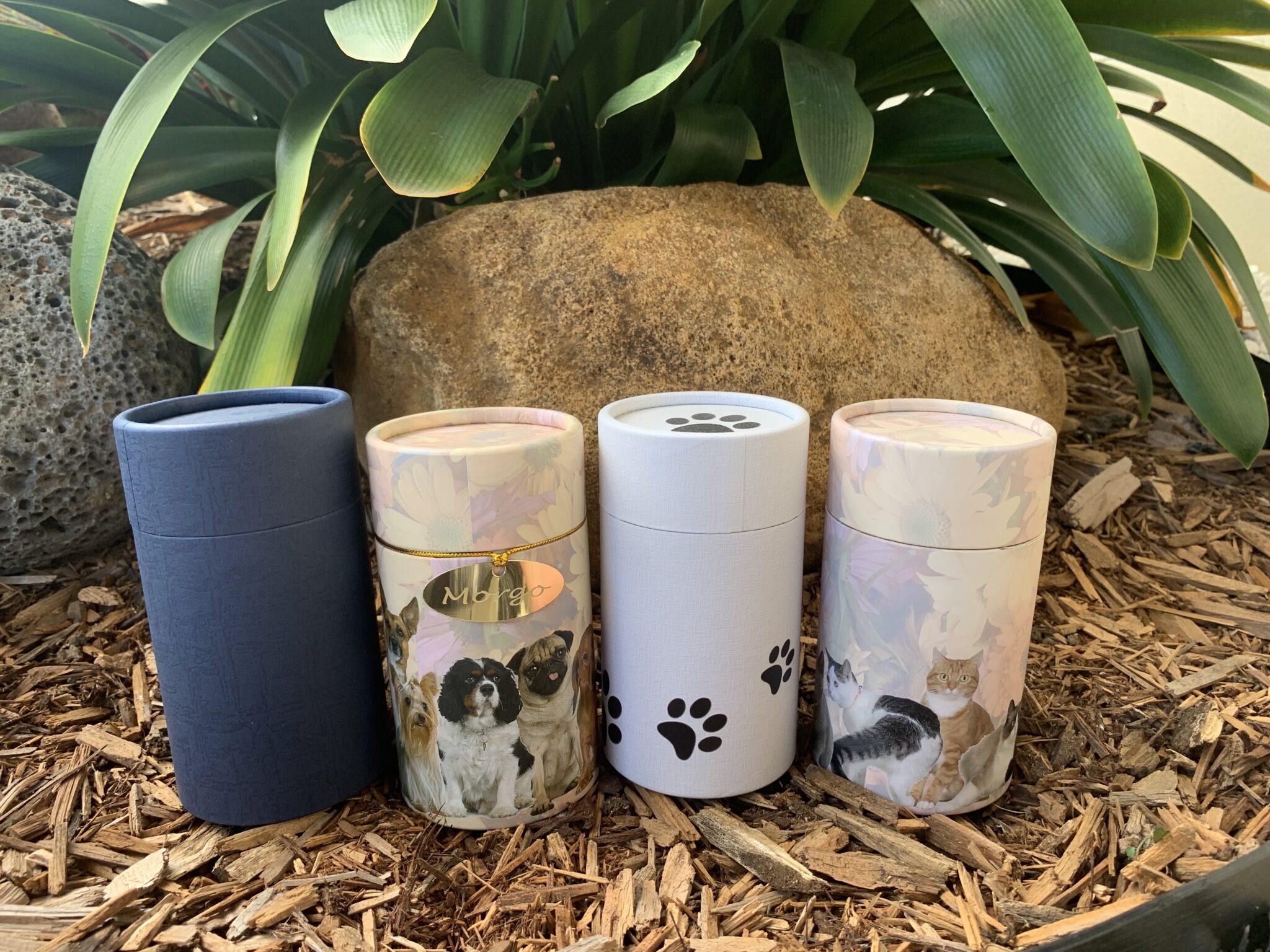 Scatter Tube Package » Paws to Heaven